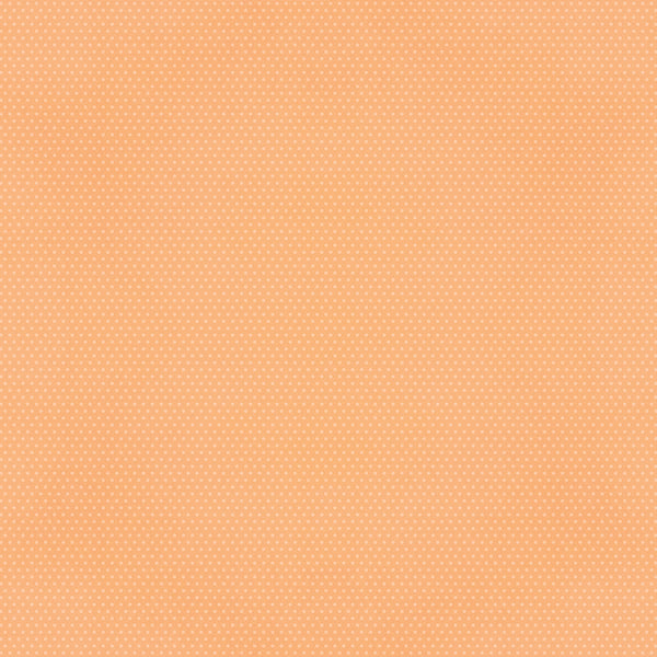 Color Vibe - Apricot – Simple Stories